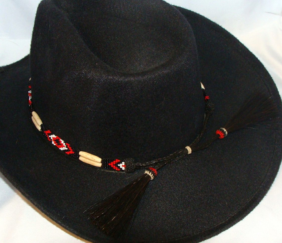 The Wild Cowboy